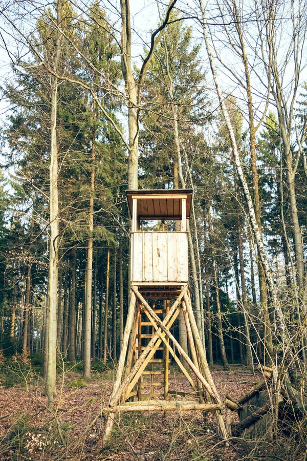 Hunter Stood stock photo. Image of outdoors, woods, brown - 53673744