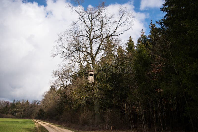 Hunter stood in old Oak stock photo. Image of stood, hunter - 67229078