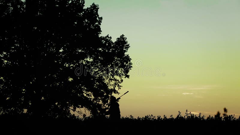 Hunter at Sunset Comes with a Gun on His Shoulder Stock Video - Video ...