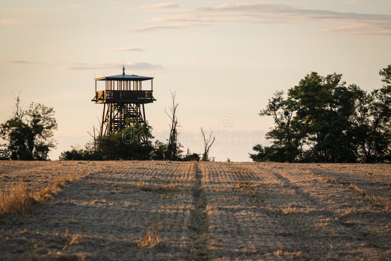 A hunter tower stock photo. Image of hideout, hunting - 193417154