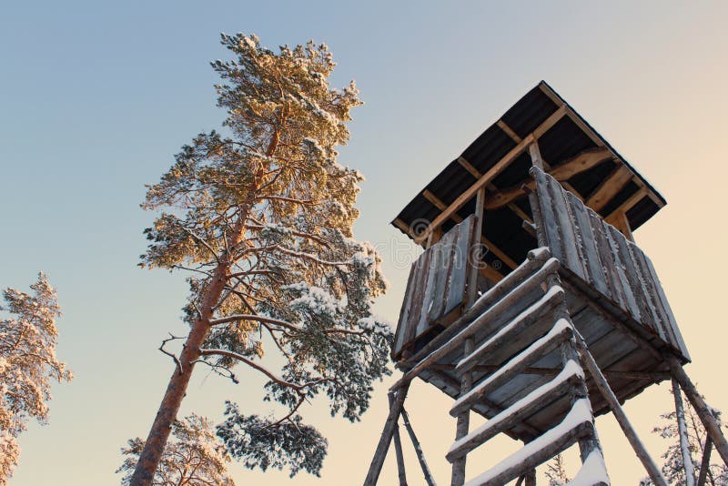 Hunter tower, sunset stock photo. Image of forest, wooden - 53766086