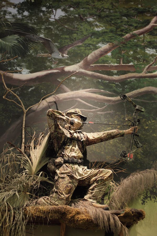 Bow hunter in tree stock image. Image of extreme, handsome - 8639823