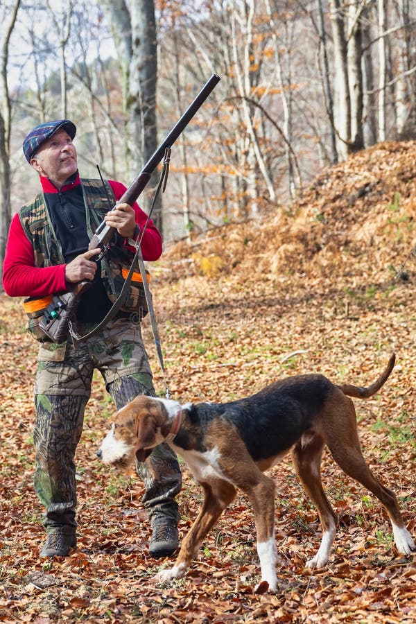 Hunter and Hunting Dog Chasing in the Forest Stock Photo - Image of ...