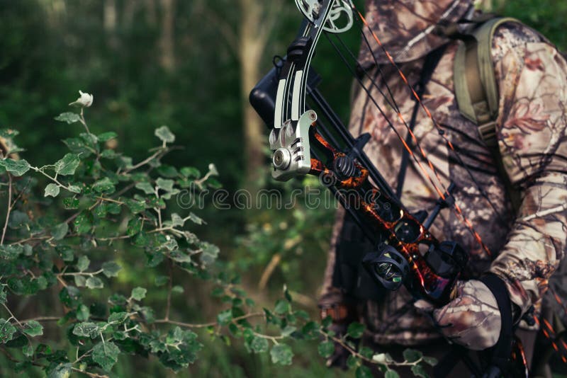 Hunter in the Woods with Bow and Arrow Ready To Take Aim at His Prey ...