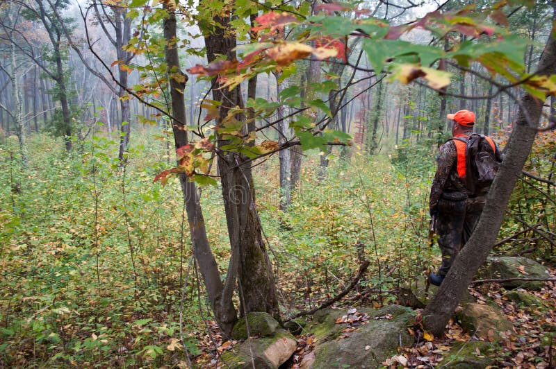 A hunter in the woods editorial photography. Image of activity - 101904817