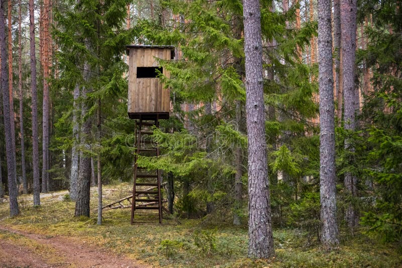 Hunters Hut in the Forest. Hunter Tower or Watch Post in the Wilderness ...