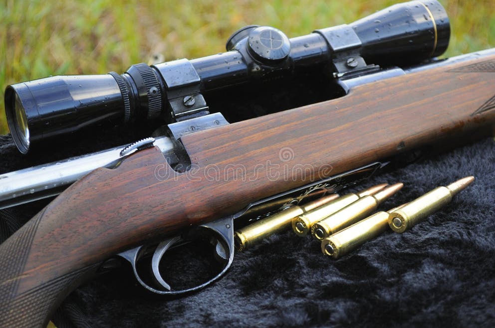 Hunters rifle stock image. Image of caliber, huntsman - 20942517