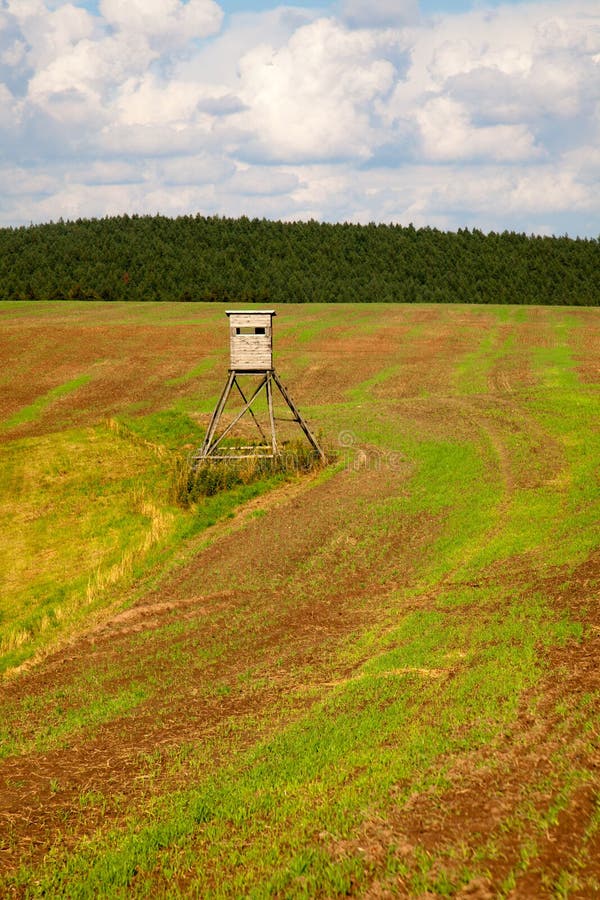 Hunters stand in the field stock image. Image of idyllic - 32116091