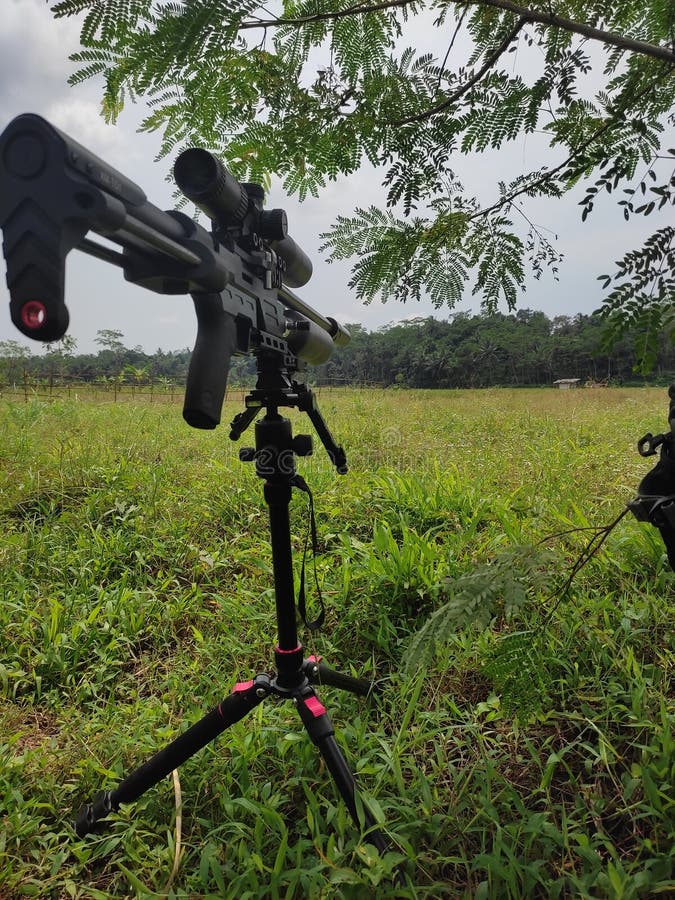 Hunting Birds in the Fields Using an Air Rifle Stock Image - Image of ...