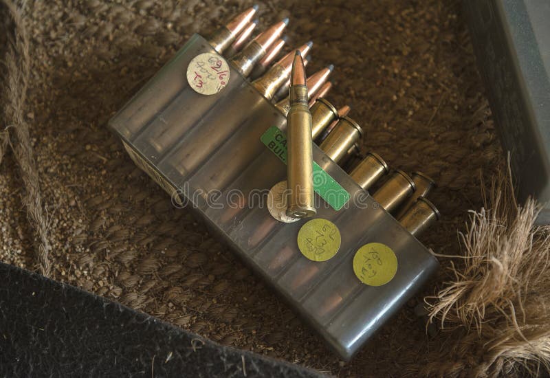 Hunting bullets in the box stock photo. Image of equipment - 159517194