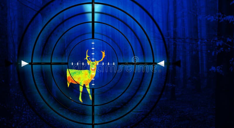 Hunting a Deer in a Forest at Night Stock Image - Image of conceptual ...