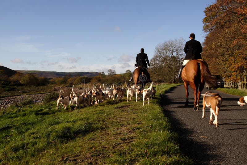 Hunting with dogs stock image. Image of searching, drag - 1520421