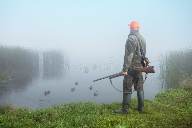 Hunting with Ducks Decoy on Lake. Stock Image - Image of riverside ...