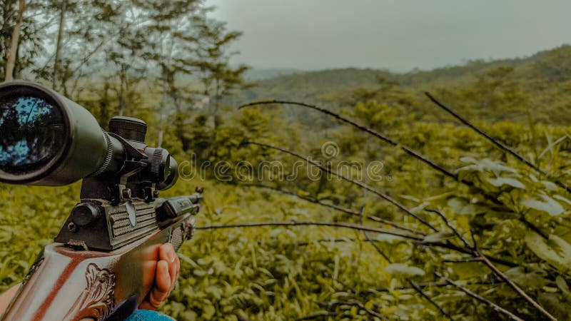 Hunting in the forest editorial photo. Image of army - 223620746