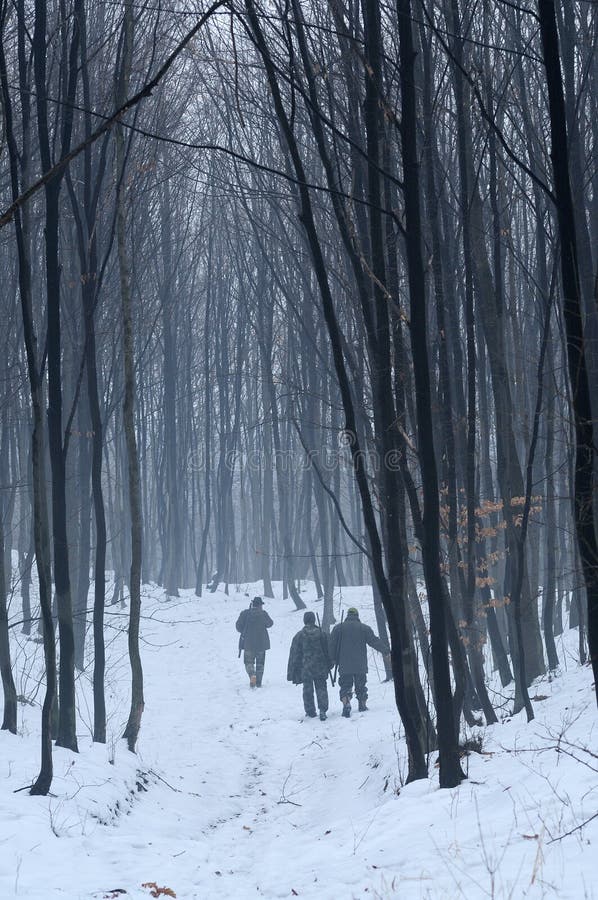 Hunting in forest stock photo. Image of plant, forest - 9905000