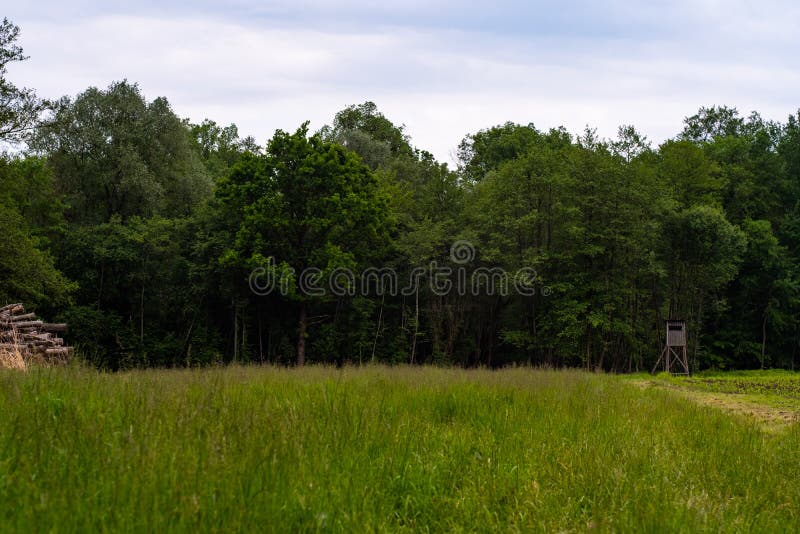 Hunting ground stock photo. Image of outlook, lookout - 188268630