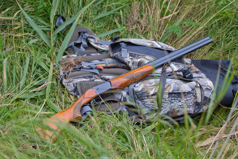 Hunting Rifle stock image. Image of violence, metal, autumn - 11031331