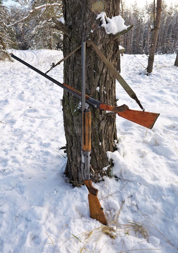 Hunting Guns in the Winter Forest. Stock Image - Image of snow, belt: 48247483