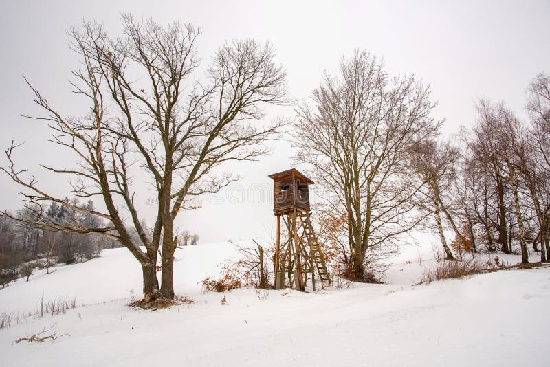 Hunting hide stock image. Image of atmosphere, forestry - 138261733