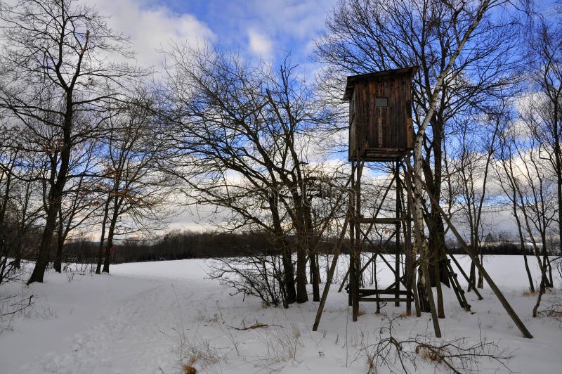Hunting hide stock image. Image of hunting, nature, natural - 49945307