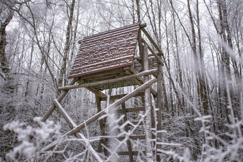 Hunting High Seat in Winter Forest Stock Photo - Image of winter, tree ...