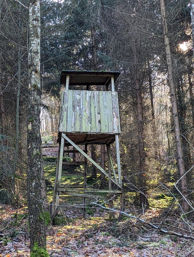 Hunting House in a Natural & Wild Environment Stock Photo - Image of ...