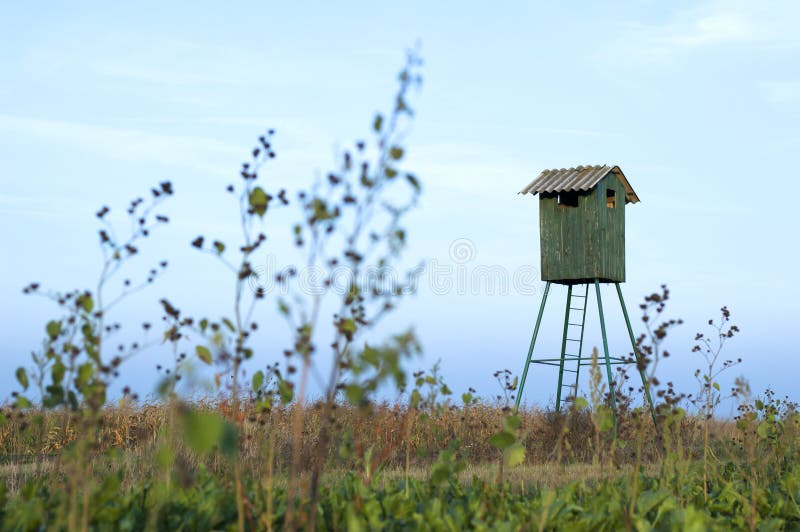 Hunting hut stock photo. Image of solitude, forest, tree - 21323472