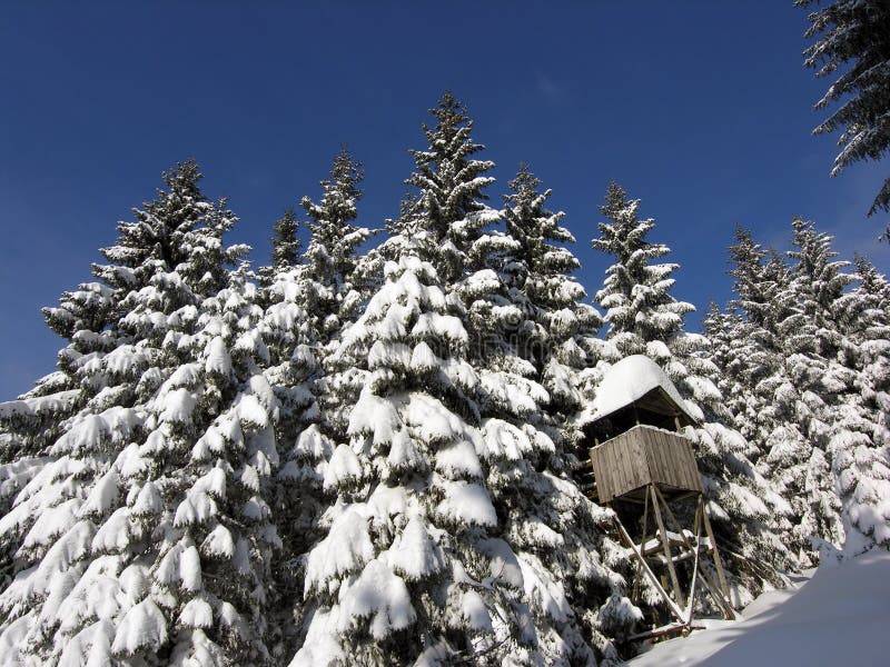 Hunting Hut in Winter Forest Stock Image - Image of outdoor, light: 7134305
