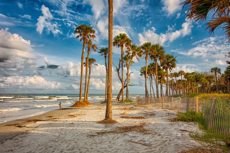 Hunting Island South Carolina Beach Scenes Stock Image - Image of sand ...