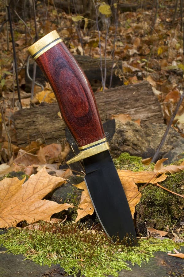 Hunting knife stock image. Image of forest, forested, knife - 5390605