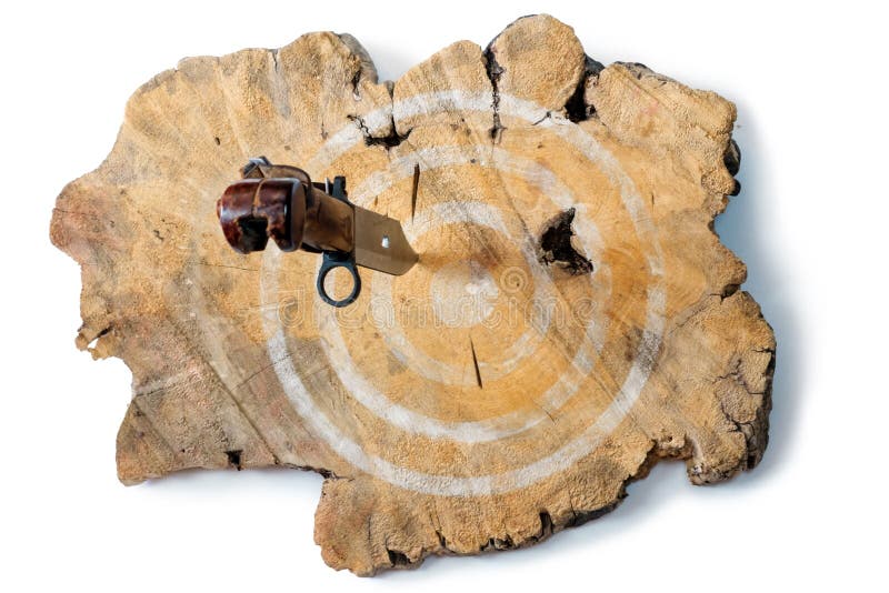 Hunting Knife Embedded in Cut Tree Trunk with Aim Target Stock Image ...