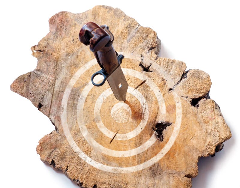 Hunting Knife Embedded in Cut Tree Trunk with Aim Target Stock Image ...