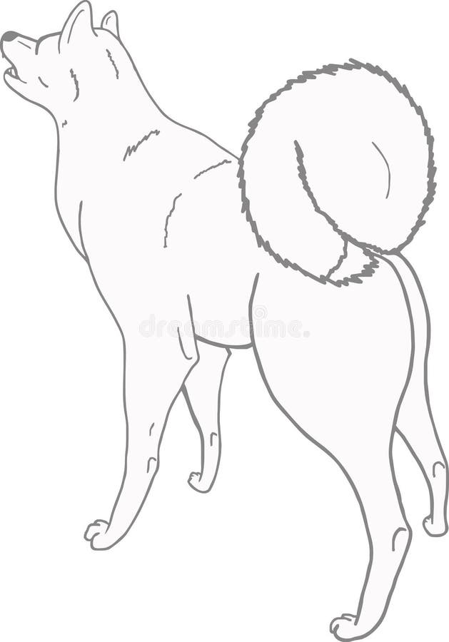 Viktor Nikitin (Zhaubasar) - Illustrations