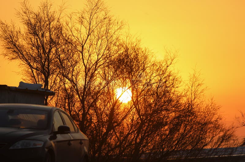 Hunting Lodge between Trees at Sunset Stock Photo - Image of cabin ...