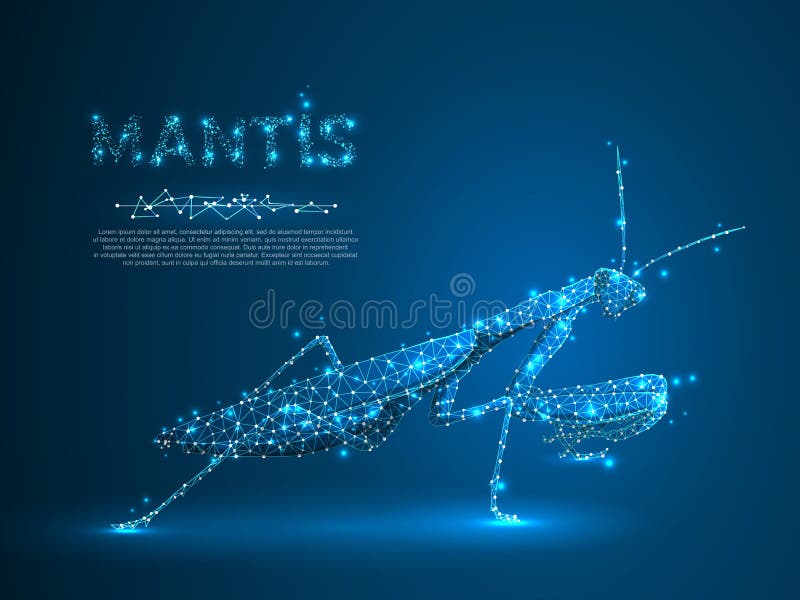 Hunting Mantis Bug Silhouette. Polygonal Space Low Poly Illustration ...