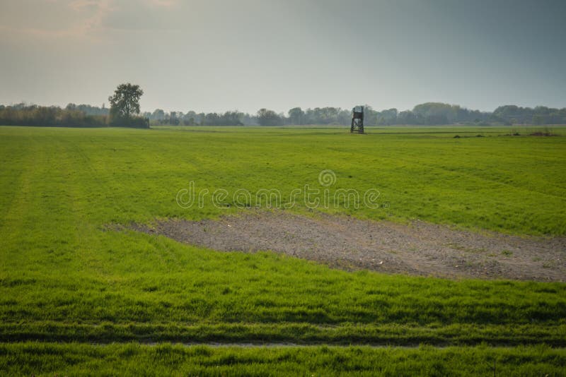 Hunting Observation in Green Field, Background Agroculture Stock Image ...