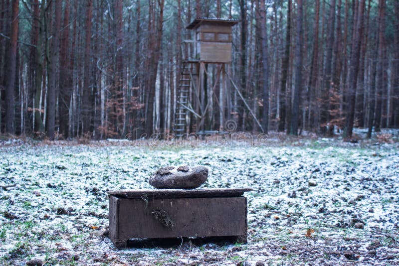 Hunting Observation Post in Winter Stock Image - Image of post, germany ...