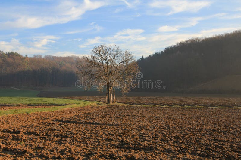 Hunting Observatory on a Sunny Day Stock Photo - Image of close ...