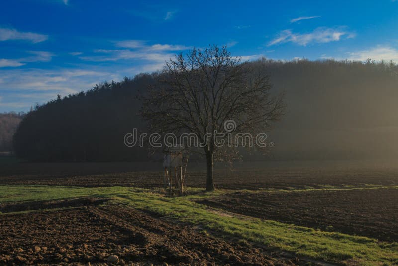 Hunting Observatory on a Sunny Day Stock Image - Image of green, daisy ...