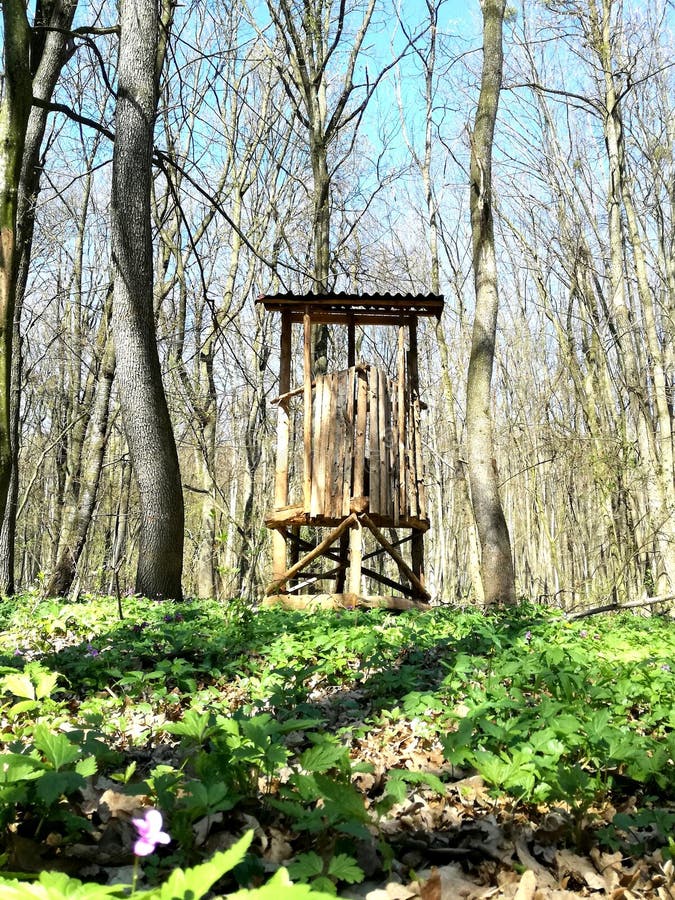 Hunting observatory stock image. Image of woods, observatory - 89870383