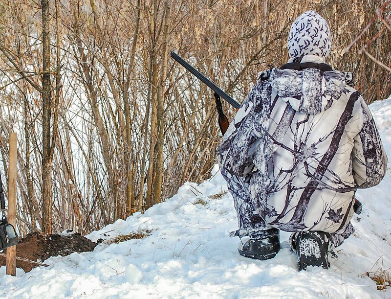 Hunting Process in Winter. Hunter is Looking To the Fox Hole Stock ...