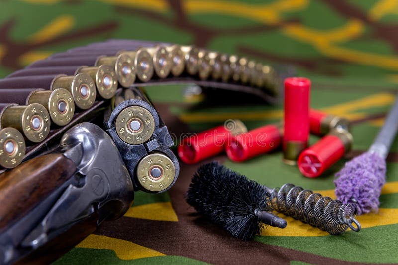 Hunting Rifle with Brushes for Cleaning Weapons Stock Photo - Image of ...