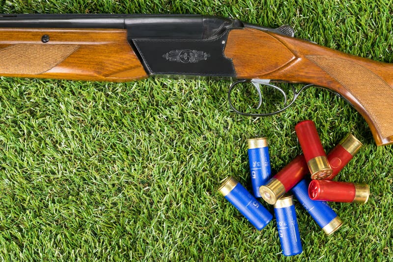 Hunting Rifle and Cartridges Concept on the Grass Stock Photo - Image ...