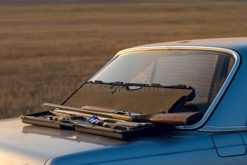 Hunting Rifle on Grass. the Beginning of the Hunting Season is Open ...