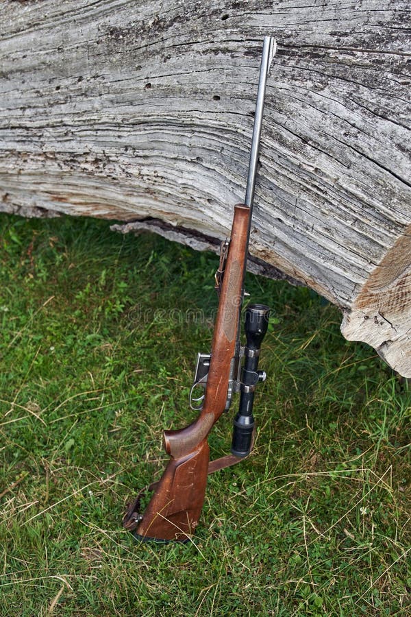 Hunting rifle with scope stock image. Image of reticle - 155706769