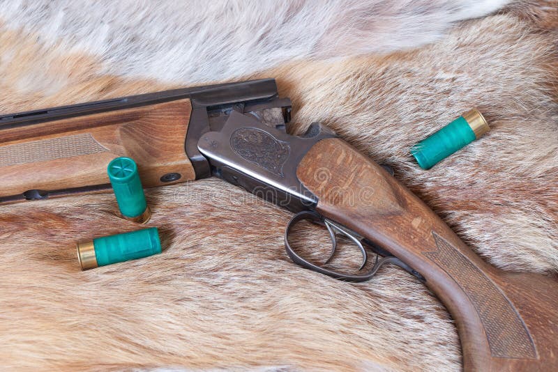 Hunting smooth-bore gun stock photo. Image of cartridge - 84991686