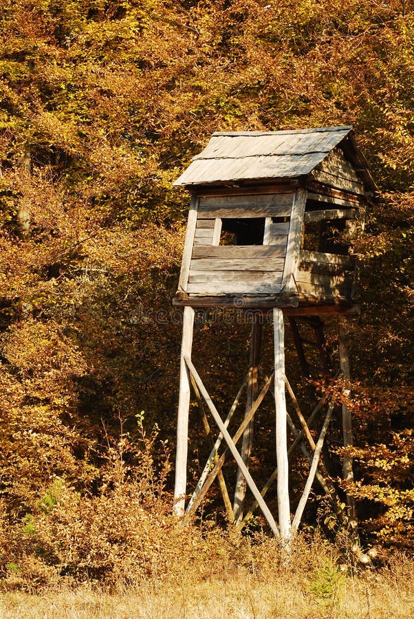 Hunting Tower in Wild Forest. Wooden Hunter Hide High Watch Post Tower ...