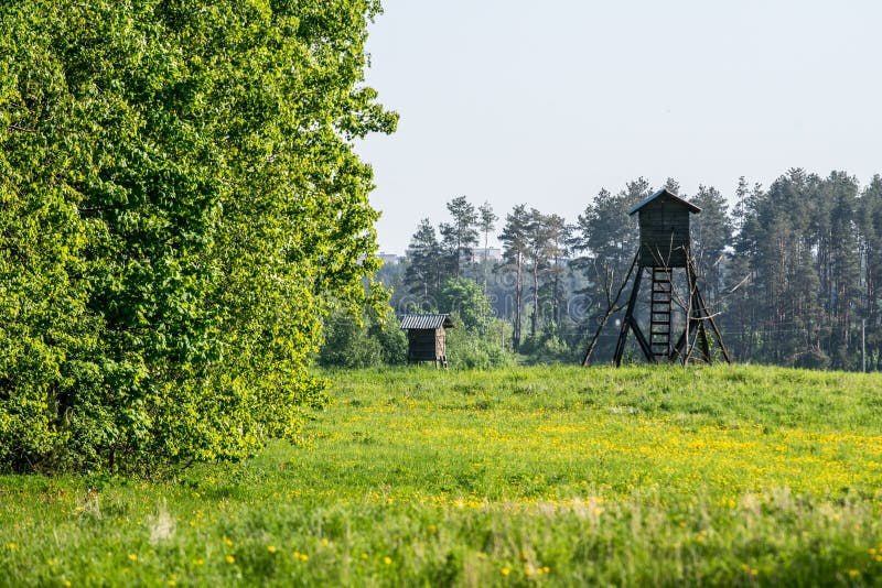 Hunting Tower in a Field Near Forest Stock Image - Image of hunting ...