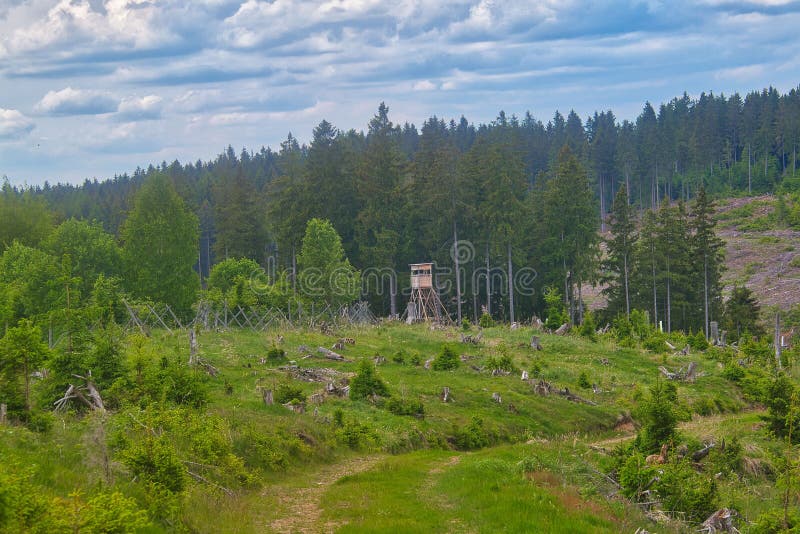 Hunting Tower in the Thuringian Forest with the Coniferous Trees View ...
