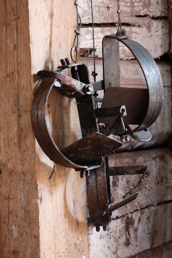 Hunting traps stock photo. Image of color, hang, iron - 49863080